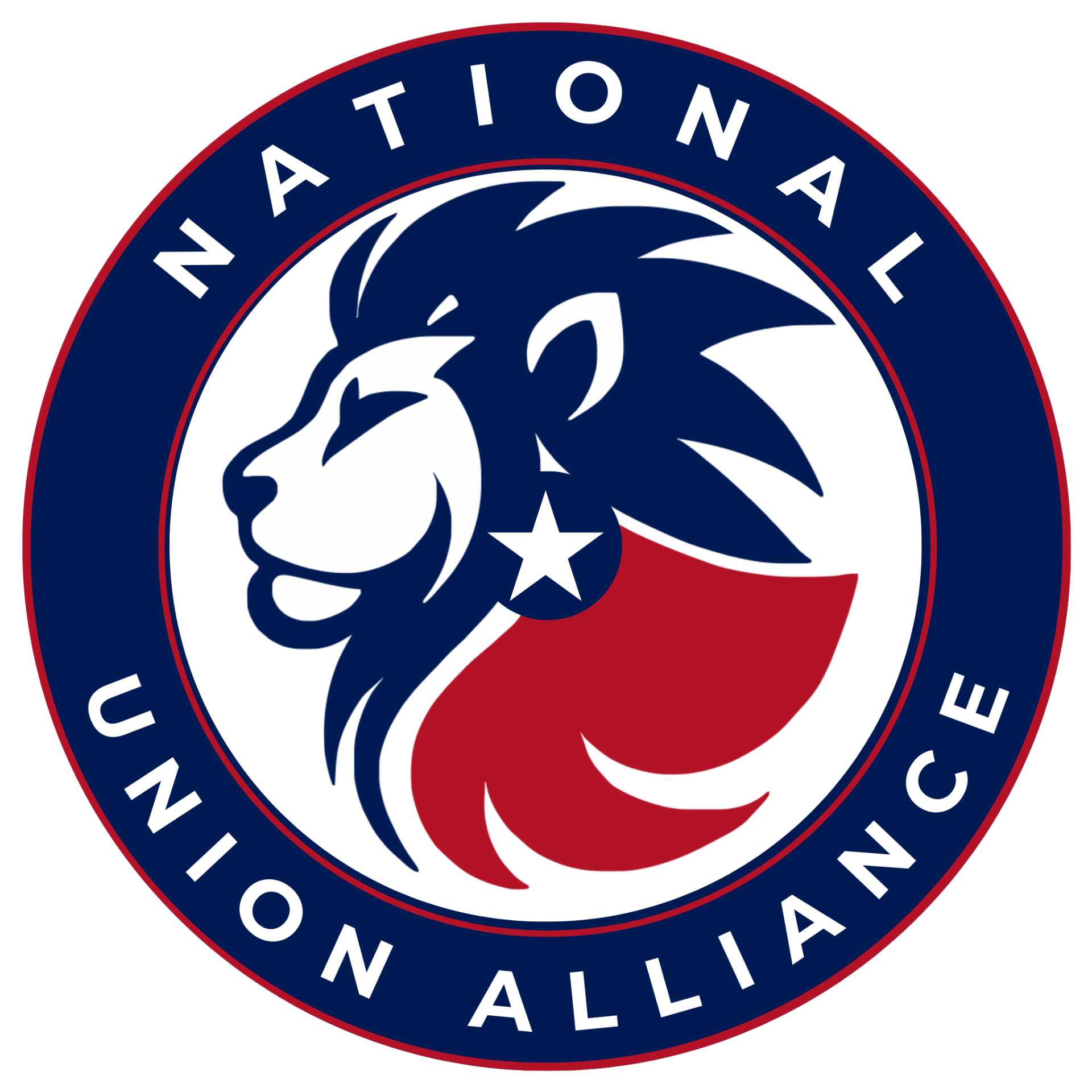 National Union Alliance | Look to the Good